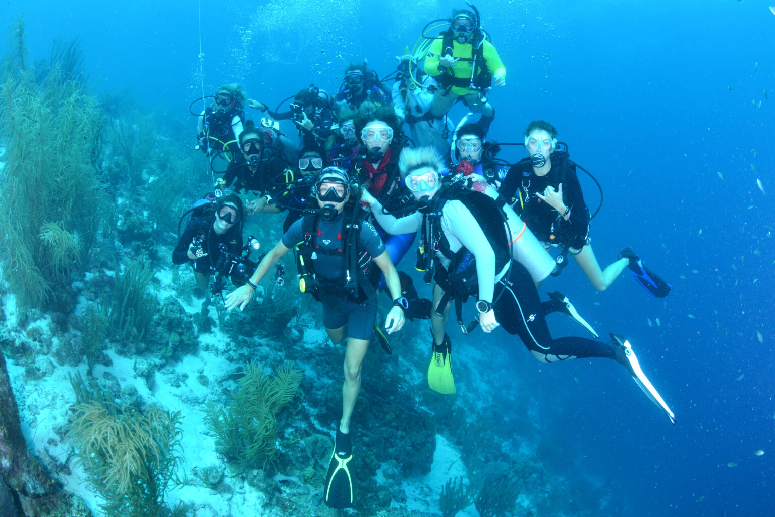 Activities for everyone - Events Curaçao l The best island guide